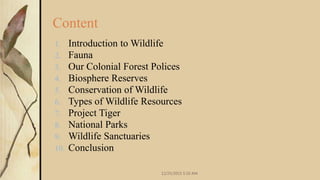 Wildlife | PPT