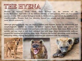 Wildlife | PPTX