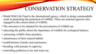 Wildlife and Endangered species | PPTX
