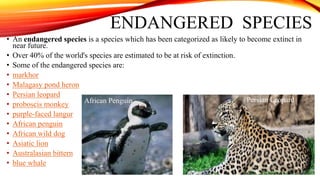 Wildlife and Endangered species | PPTX