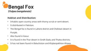 Important mammalian species dogs and hyenas in Pakistan.pptx