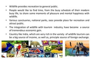 Wildlife-AnIntroduction.pdf