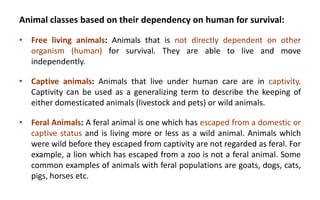 Wildlife-AnIntroduction.pdf