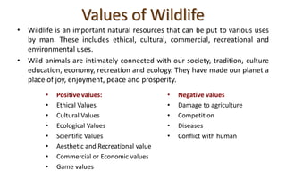 Wildlife-AnIntroduction.pdf