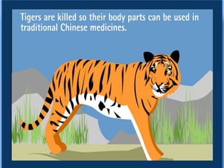 Wildlife Endangered Species | PPTX