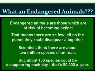 Wildlife Endangered Species | PPTX