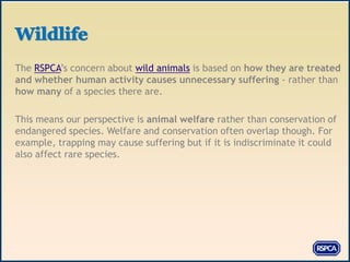 Wildlife - RSPCA | PPT