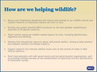 Wildlife - RSPCA | PPT
