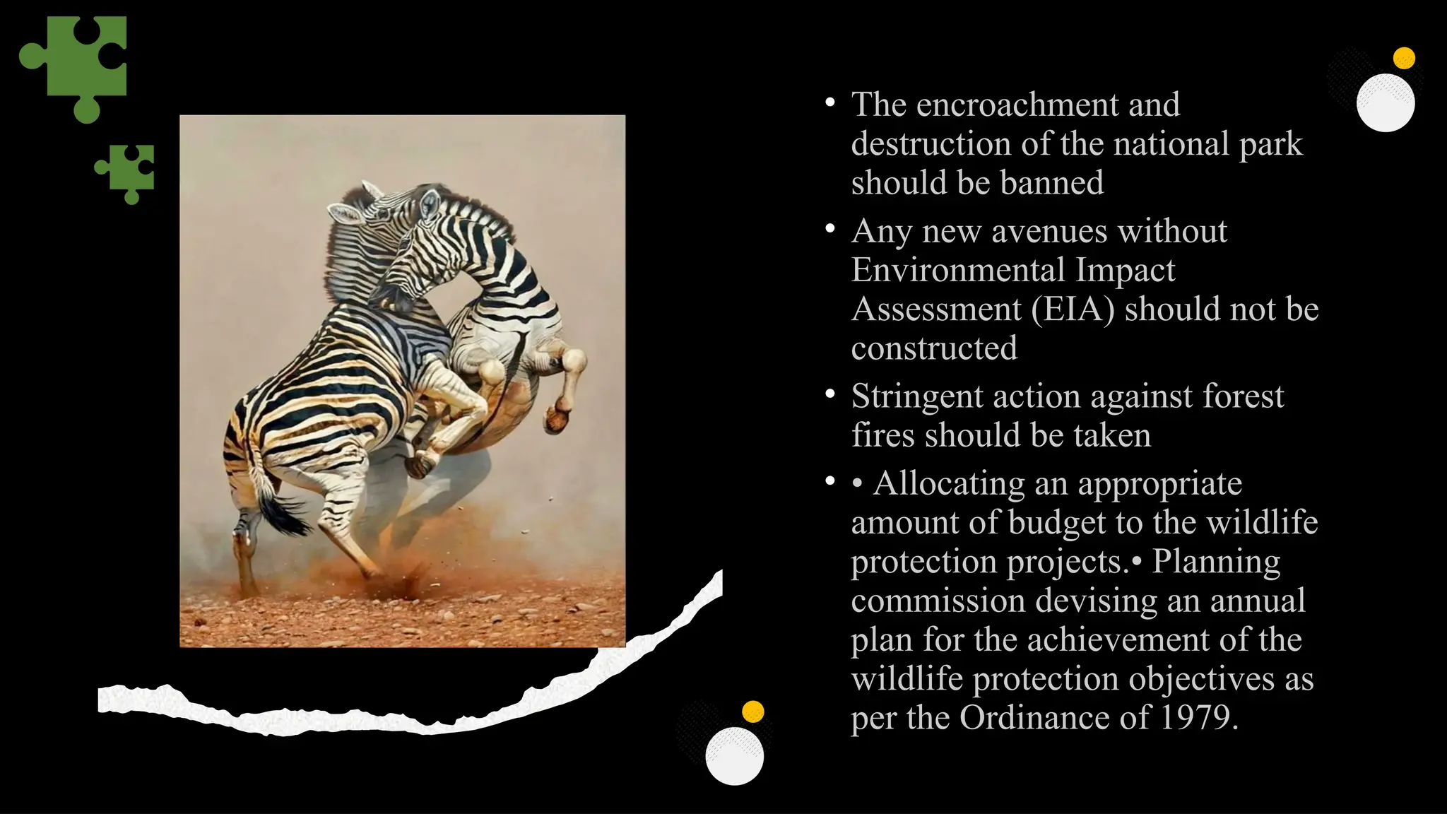 Exploring Pakistan's Rich Wildlife: Conservation and Challenges | PPTX