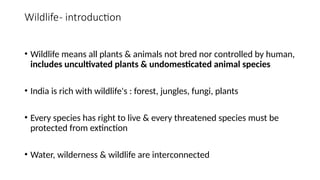 WILDLIFE 2.pptx by Vishal mehraMsc Zoology | PPTX