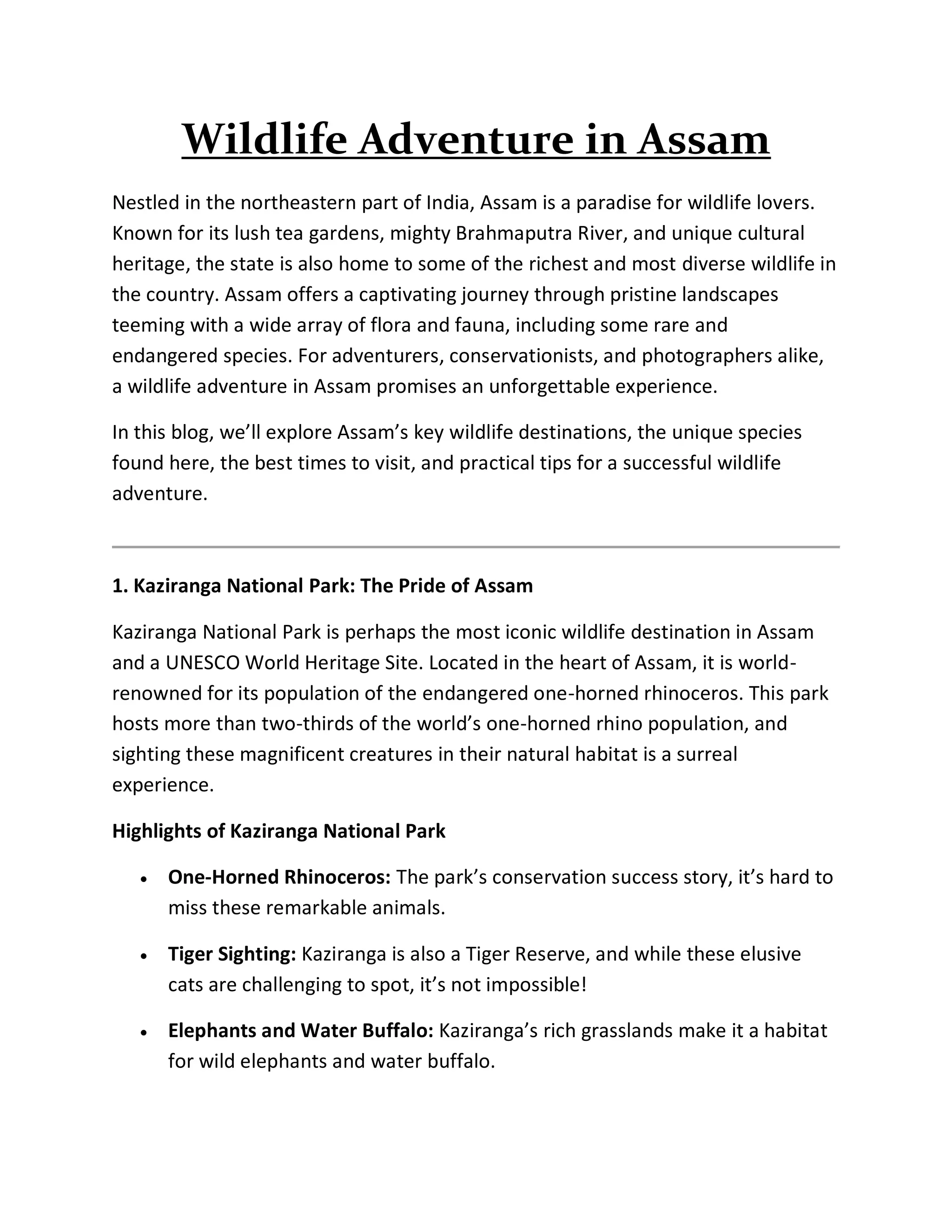 Wildlife Adventure in Assam, Northeast - GoRidez | PDF