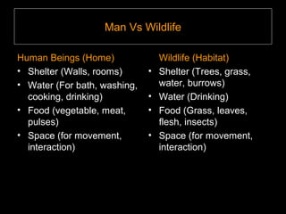 Wildlife and its importance A presentation By Mr Allah Dad Khan | PPT
