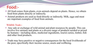 Wildlife and livelihood | PPTX