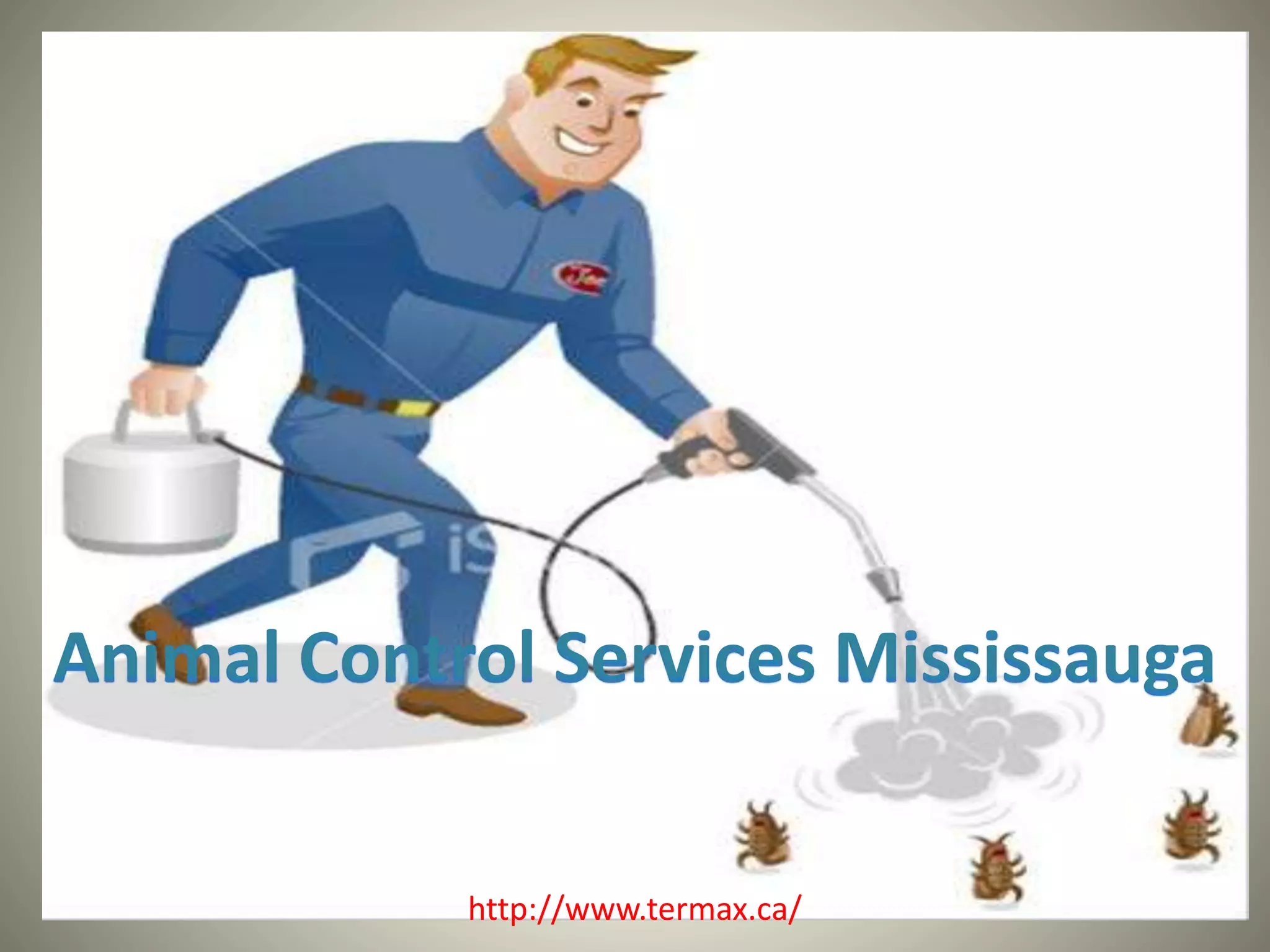 Wildlife animal control | PPT