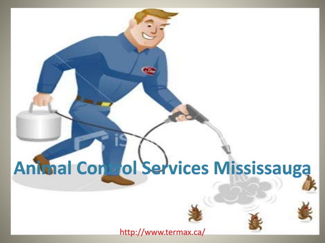 Wildlife animal control | PPT