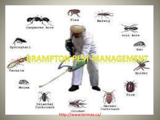 Wildlife animal control | PPT