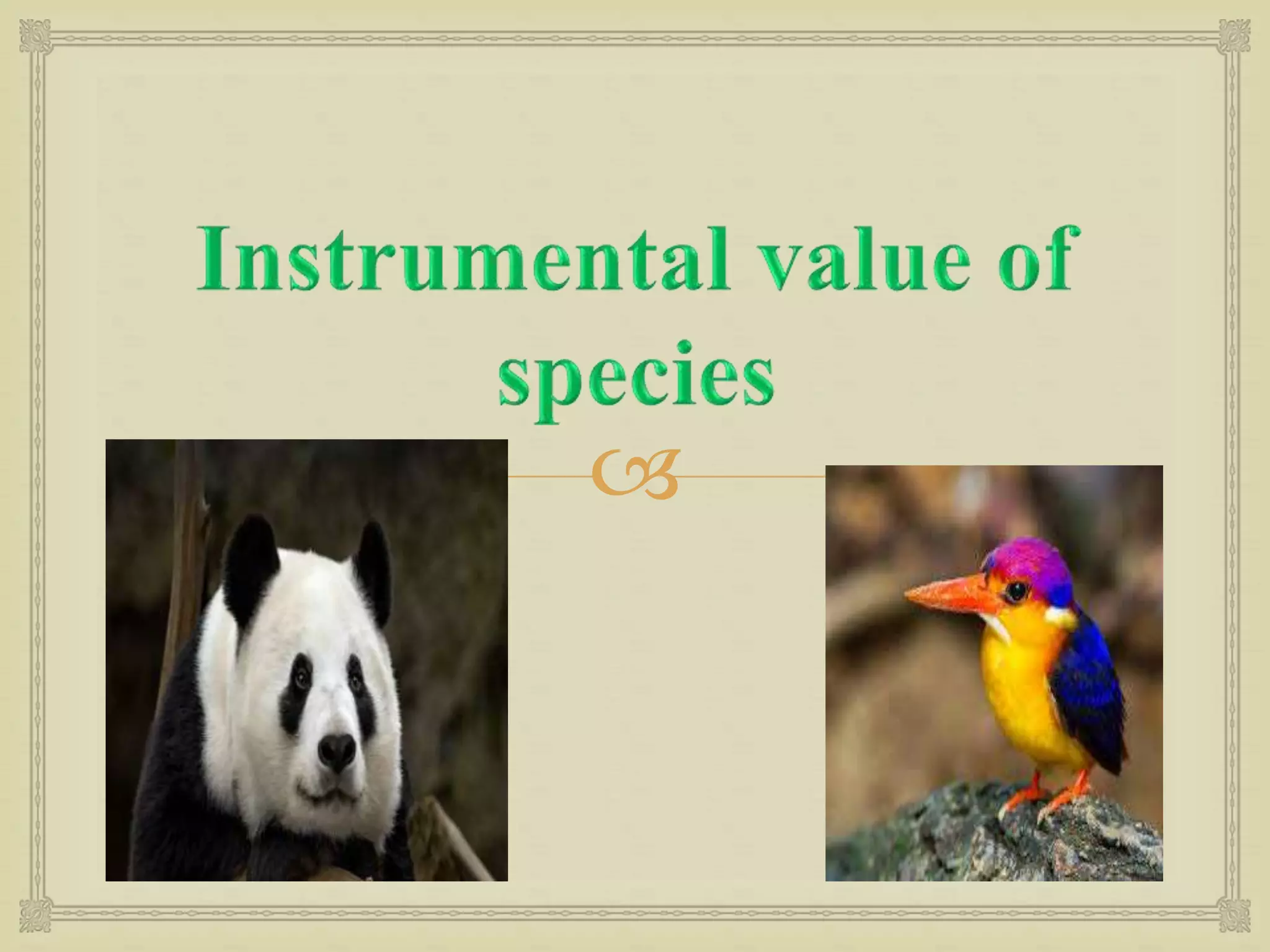 instrumental value of species | PPTX