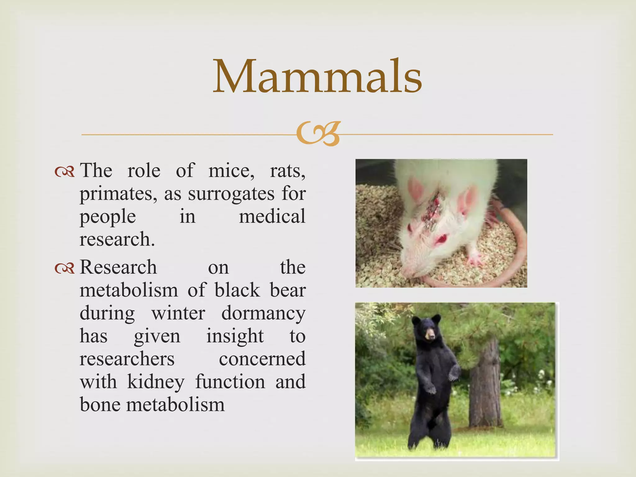 instrumental value of species | PPTX