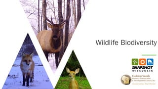 Wildlife Biodiversity Lesson Slideshow.pdf