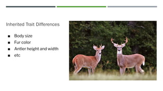 Wildlife Biodiversity Lesson Slideshow.pdf
