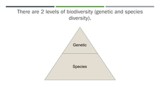 Wildlife Biodiversity Lesson Slideshow.pdf