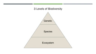 Wildlife Biodiversity Lesson Slideshow.pdf