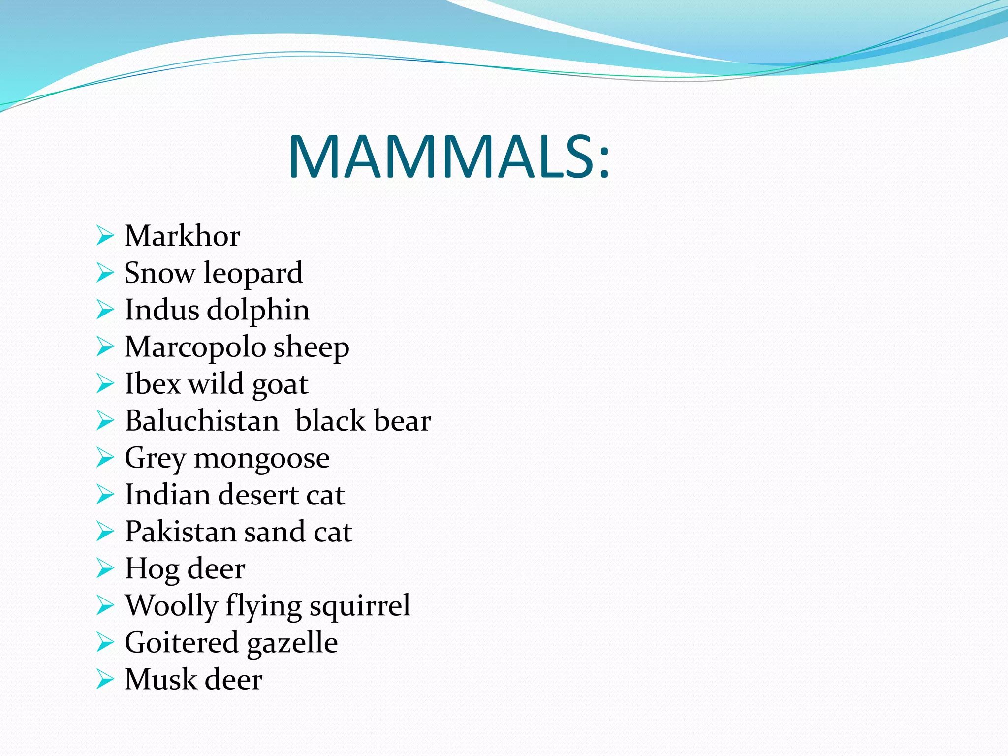 Endangered Species of of Pakistan By Sheraz Ahmad | PPTX | Birds | Pets