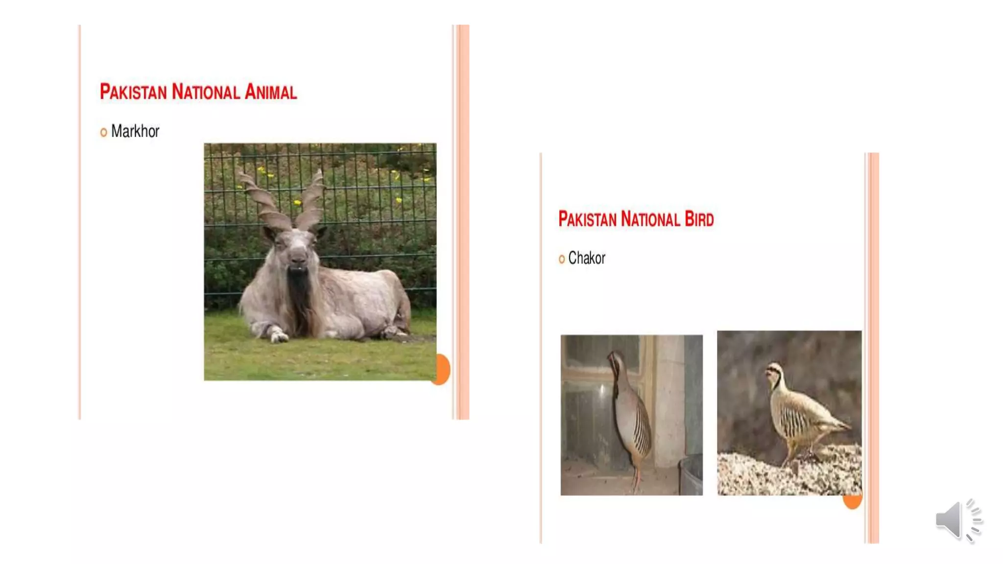 Wild life (biodiversity of pakistan ) | PPTX