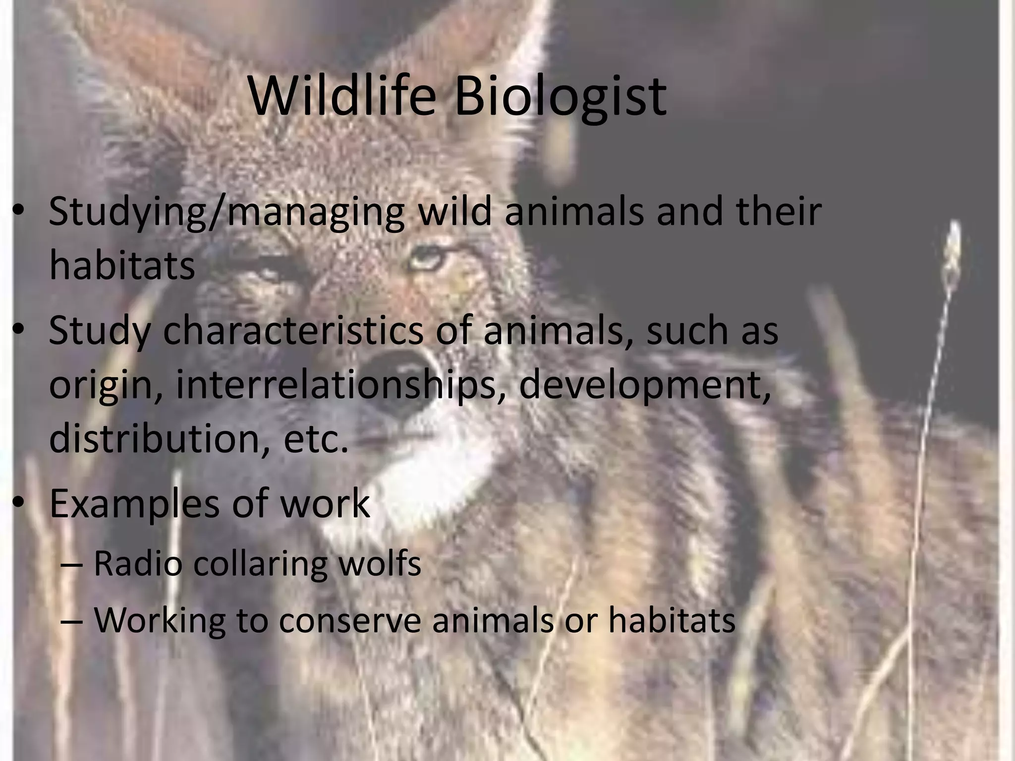 Wildlife biologist powerpoint | PPTX