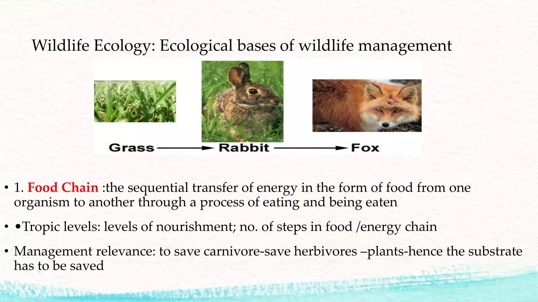 Wildlife Biology, wild Physiology and introduction | PDF