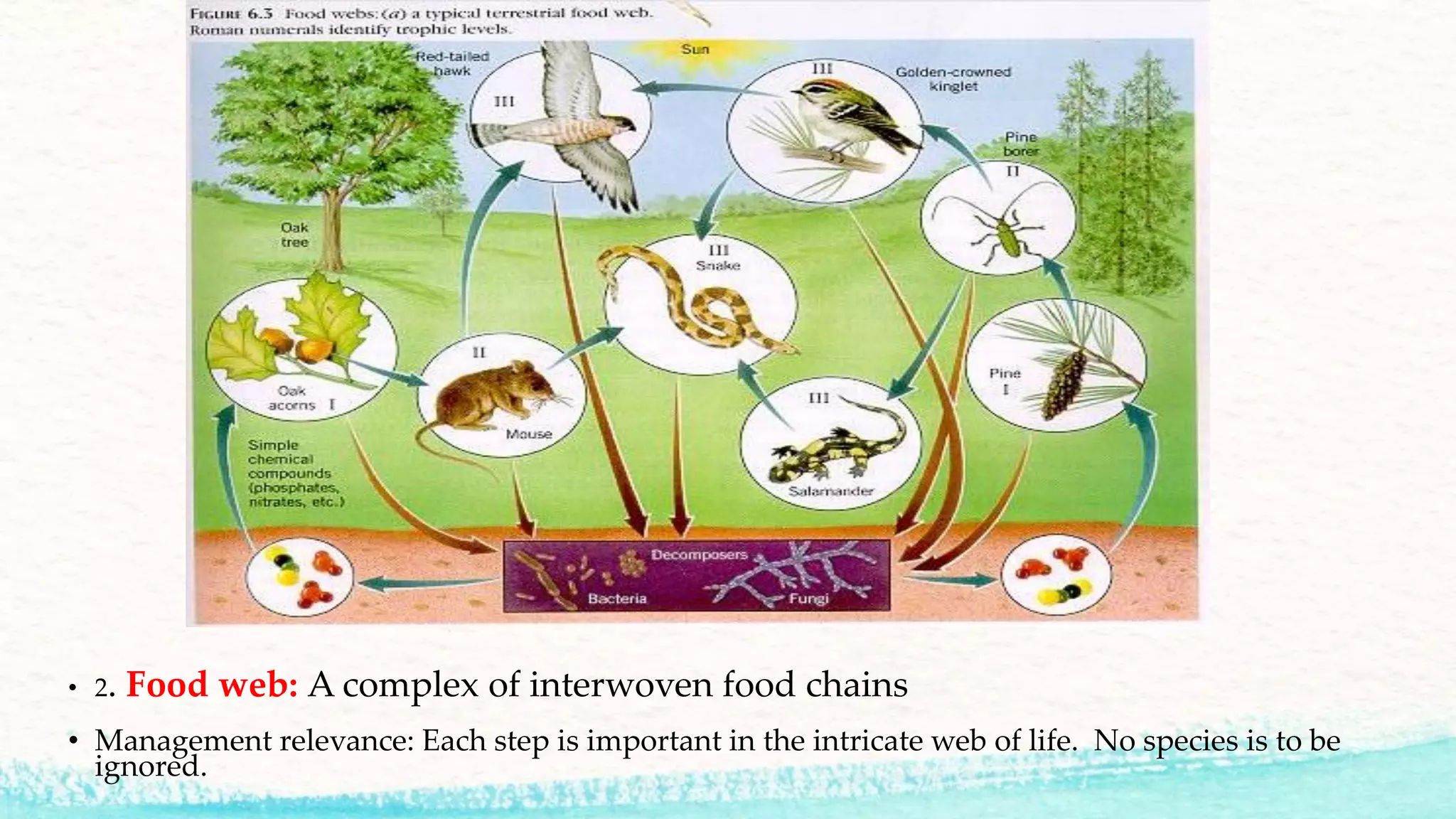 Wildlife Biology, wild Physiology and introduction | PDF