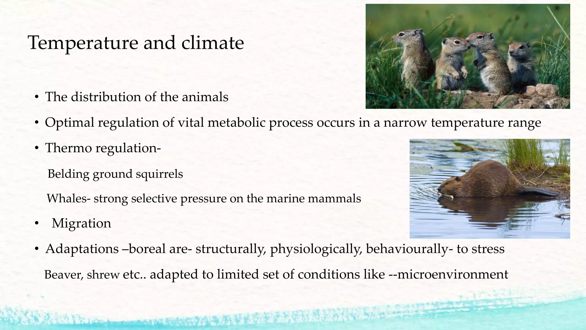 Wildlife Biology, wild Physiology and introduction | PDF