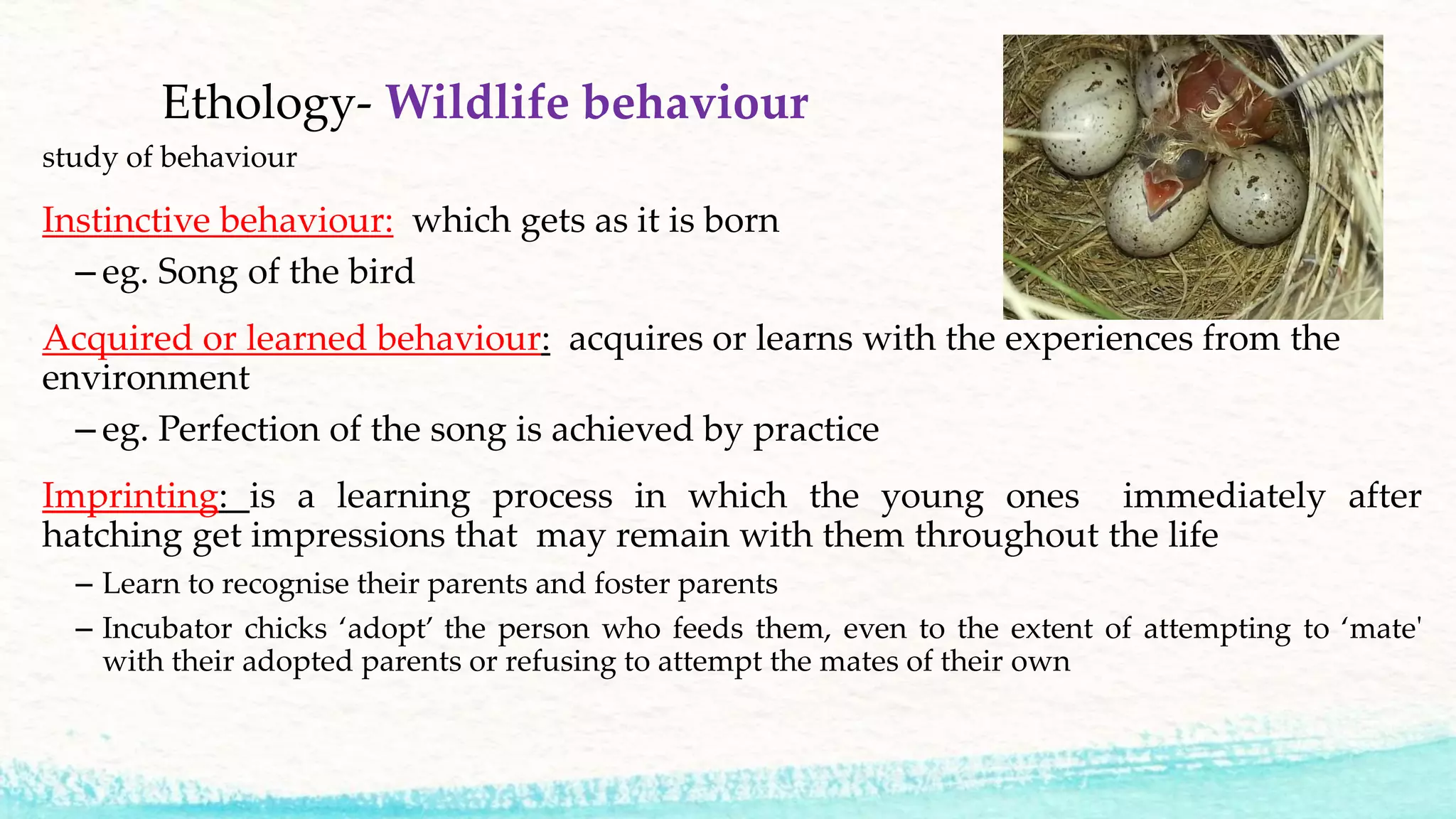 Wildlife Biology, wild Physiology and introduction | PDF