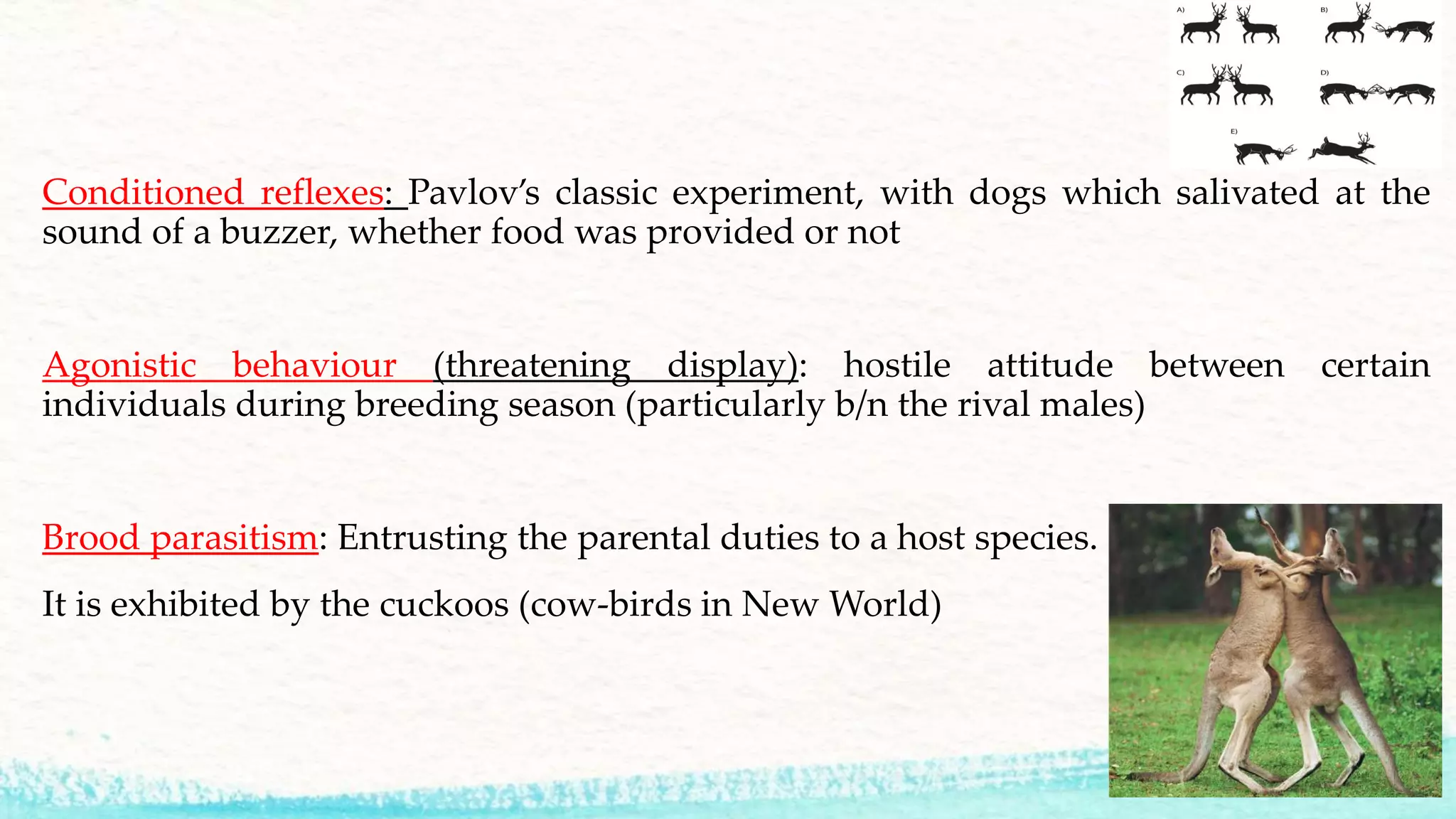 Wildlife Biology, wild Physiology and introduction | PDF