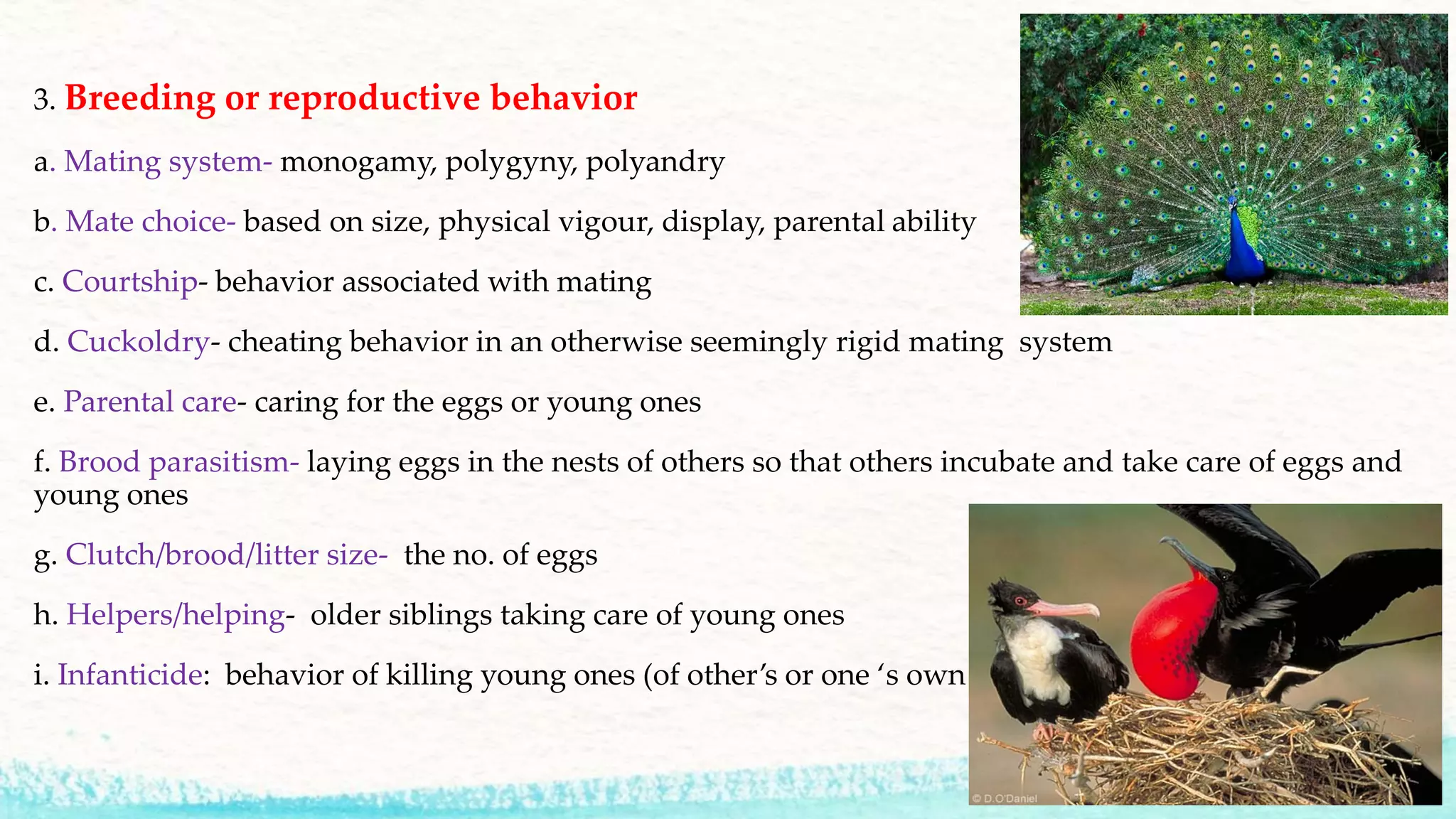 Wildlife Biology, wild Physiology and introduction | PDF
