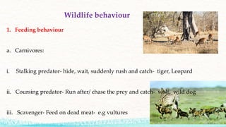 Wildlife Biology, wild Physiology and introduction | PDF