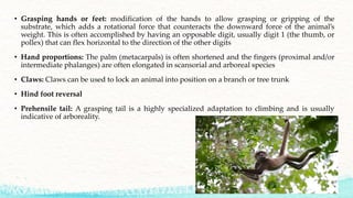 Wildlife Biology, wild Physiology and introduction | PDF