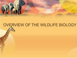Wildlife biology | PPTX
