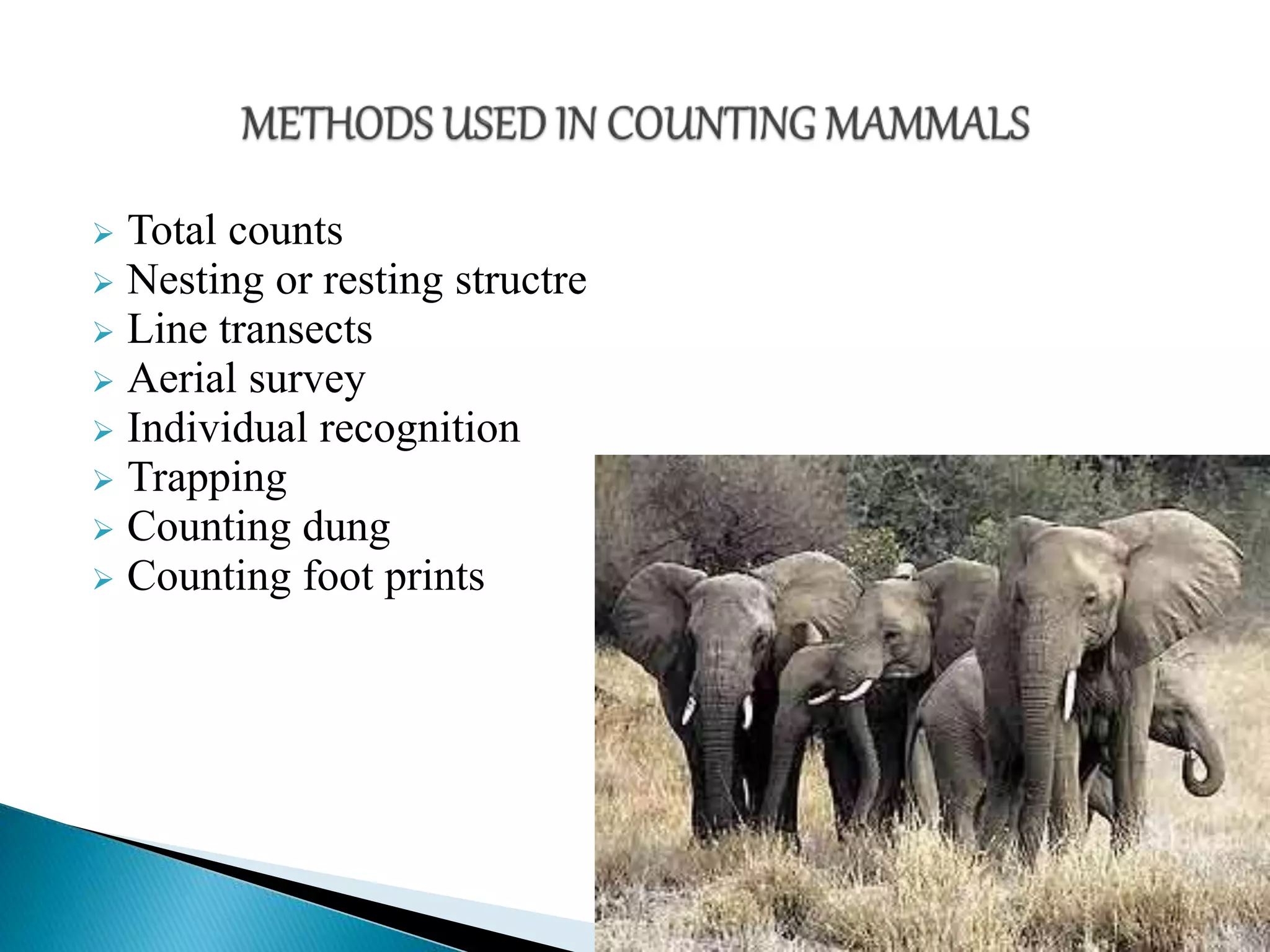 Wild life census and its role in conservation | PPTX