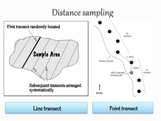 Wild life census and its role in conservation | PPTX