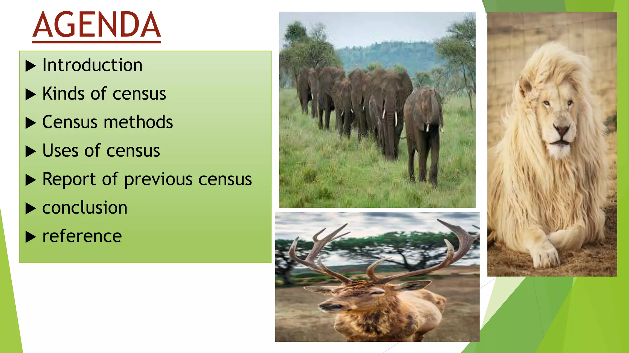Wild life census kinds and methods copy | PPTX
