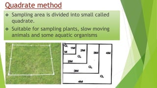 Wild life census kinds and methods copy | PPTX