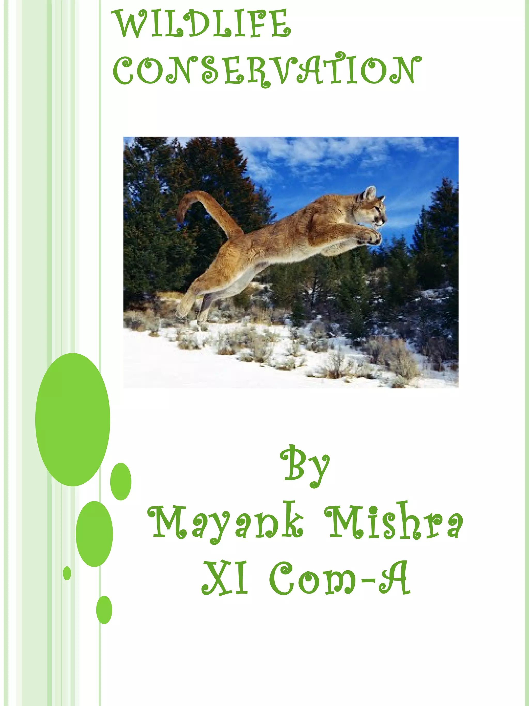 Wildlife conservation | PDF