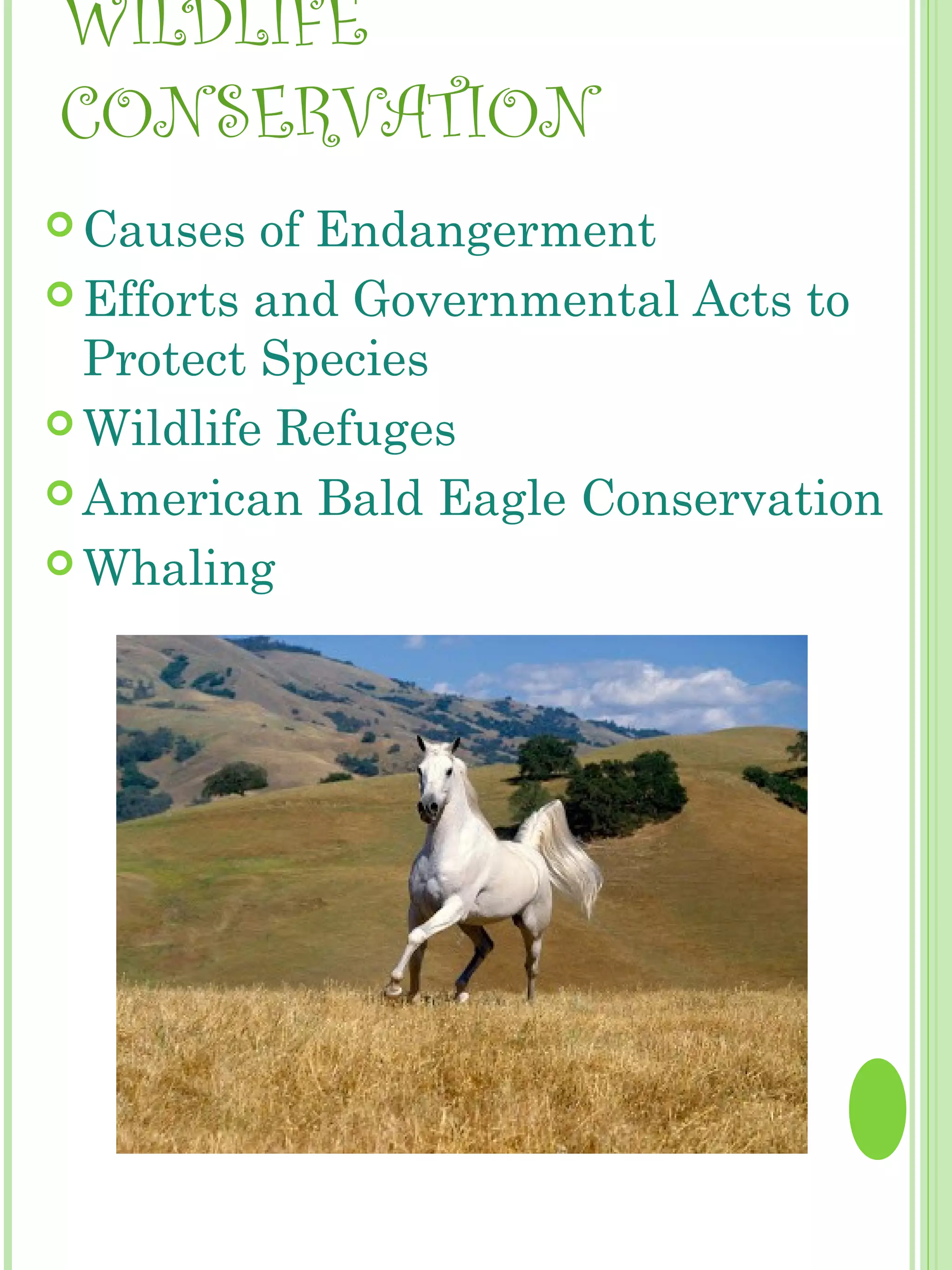 Wildlife conservation | PDF