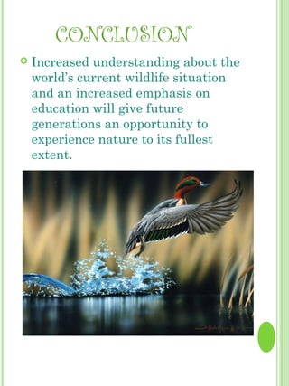 Wildlife conservation | PPT