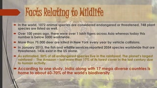 Presentation on Wildlife Conservation | PPTX