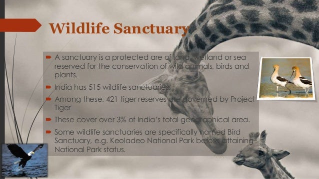 Presentation on Wildlife Conservation