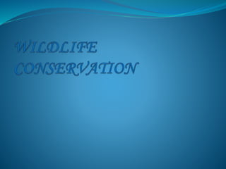 Wildlife conservation | PPTX