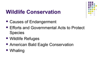 Wildlife conservation | PPT