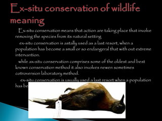 Wildlife conservation | PPT